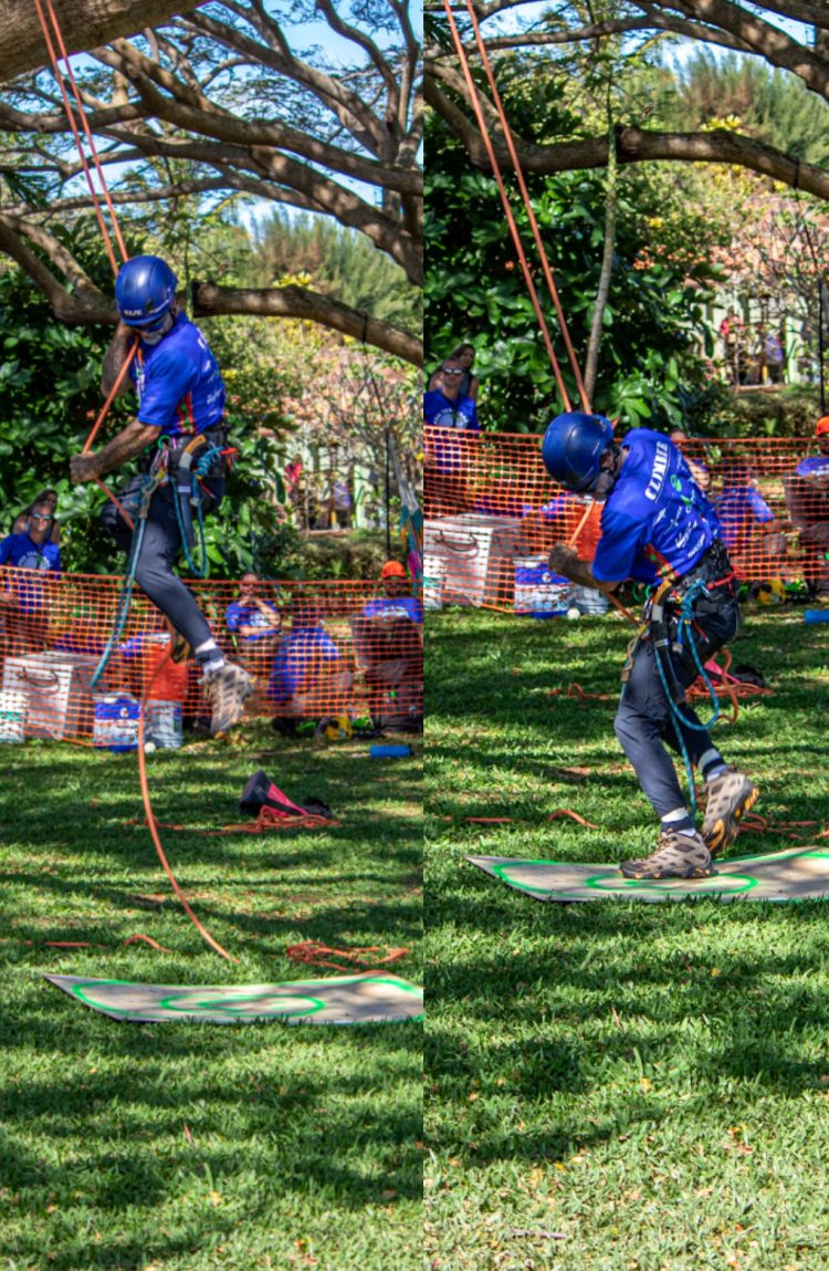 5th Annual Hawaii Tree Jamboree, 2021, Oahu – Aloha Arborist Association